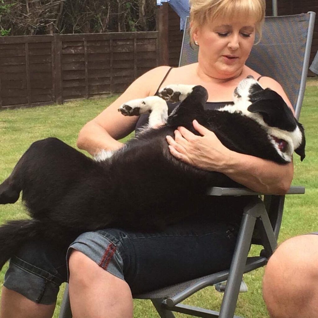 About Us - Marilake Aero Systems